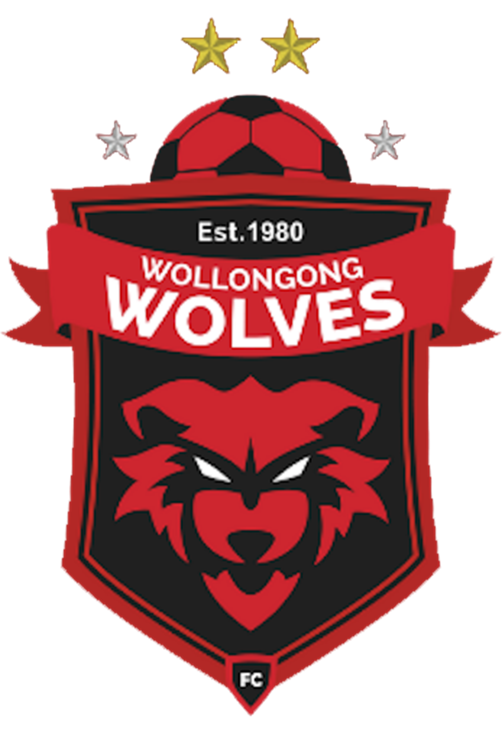 Watch Wollongong Wolves FC matches LIVE on BarTV Sports!